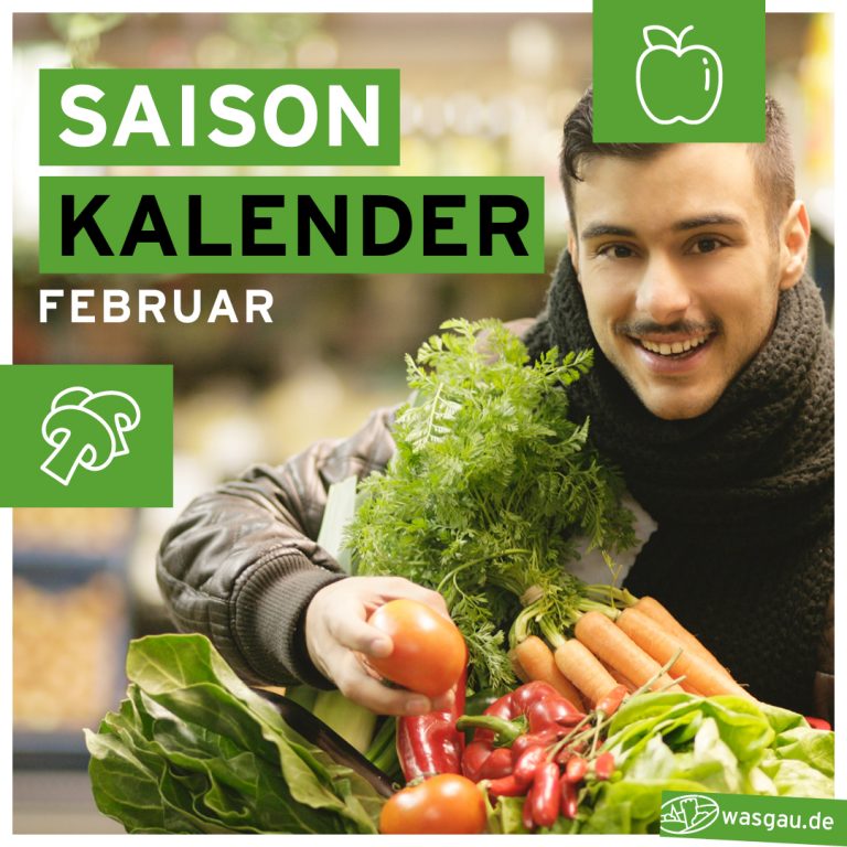 Schnell und digital - WASGAU WhatsApp Prospekt