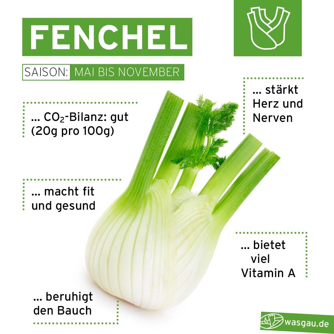 Fenchel für die geschmackvolle und gesunde Küche