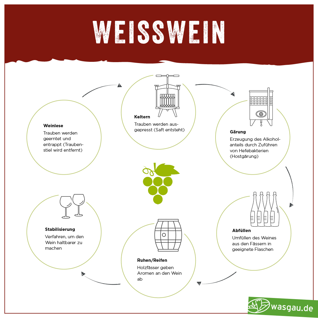 Weinherstellung kurz erklärt & Info-Grafik